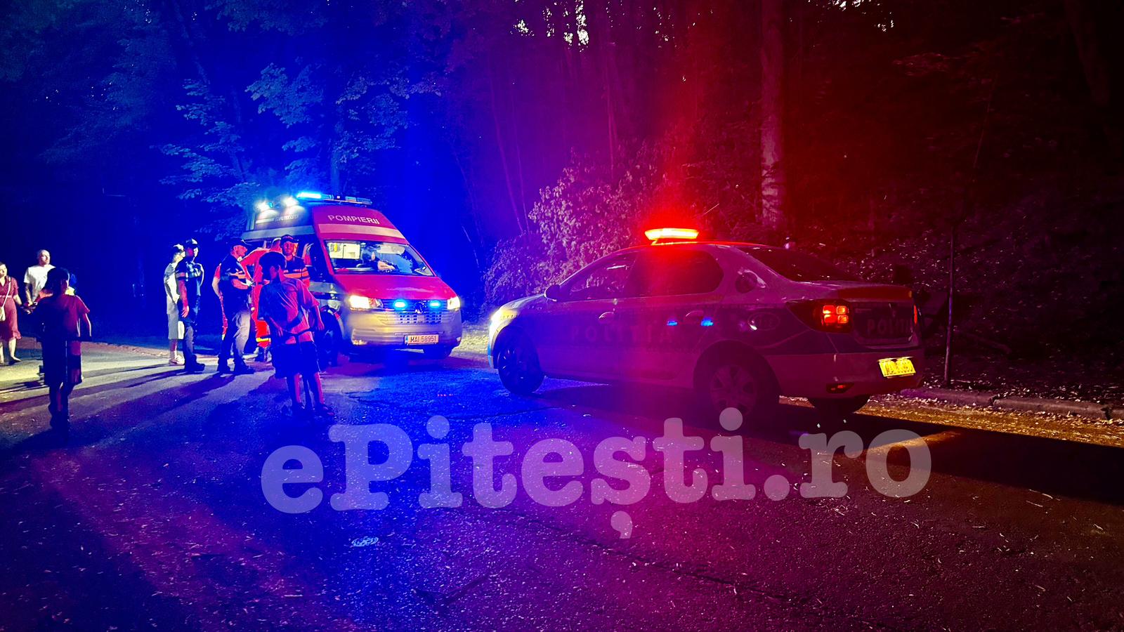 Exclusiv/Pericol în Pădurea Trivale! I-a căzut în cap unei - Focus Pitești